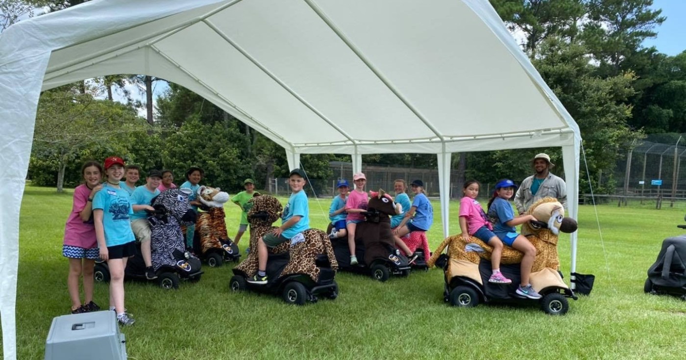 Wildlife Tours - Gainesville, FL | Carson Springs Wildlife